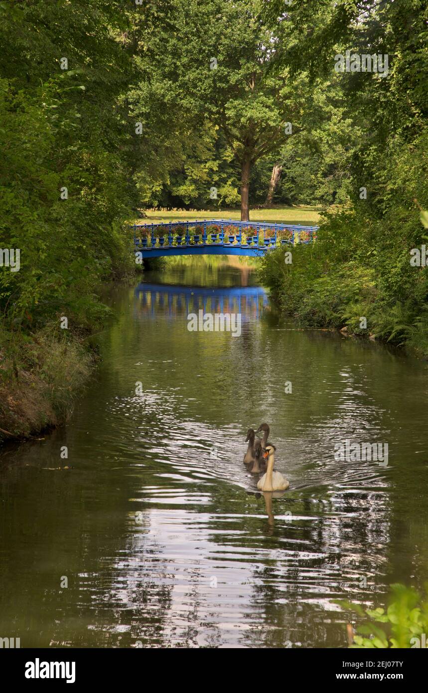 Park von Muskau (Park Muzakowski) near Bad Muskau. UNESCO World ...
