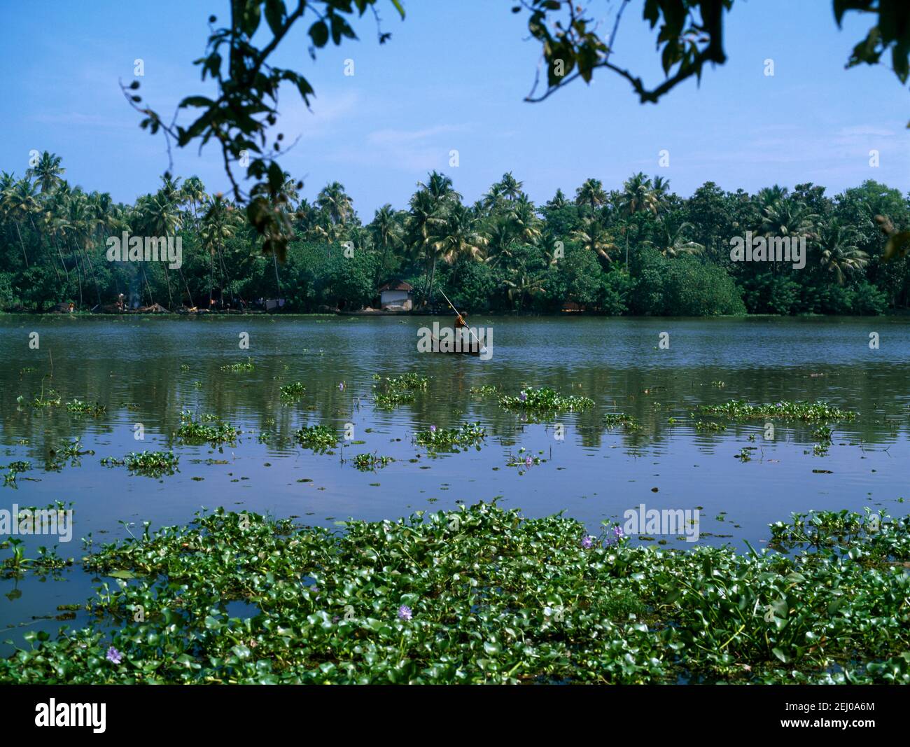 Kerala India Vembanad Lake near Kumarukom Backwaters Stock Photo - Alamy