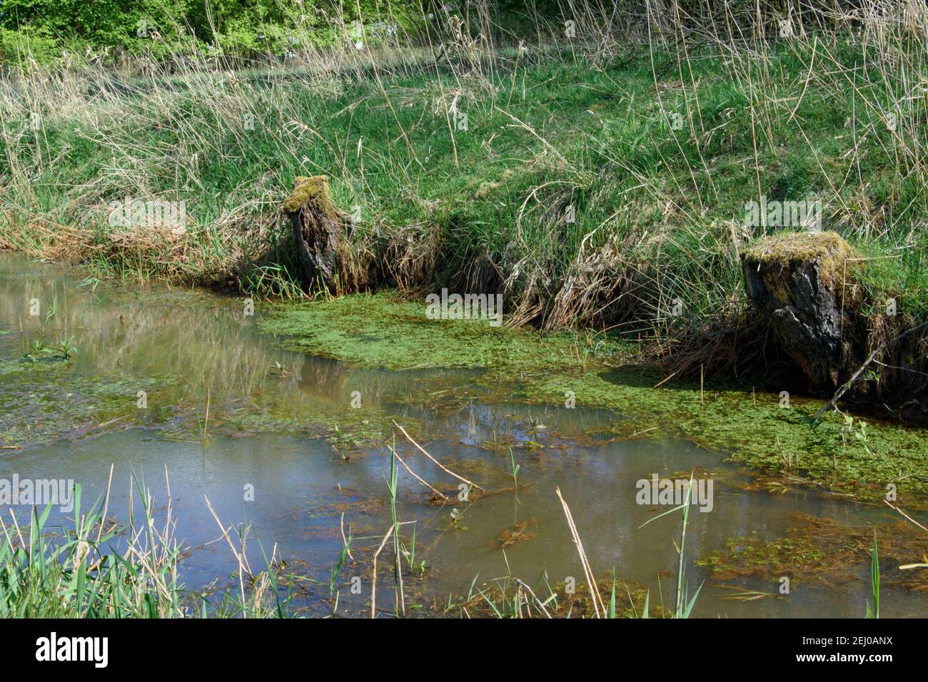 Grass embankment hi-res stock photography and images - Alamy