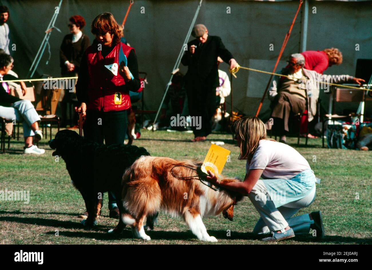People at Dog Show Competition Stock Photo - Alamy