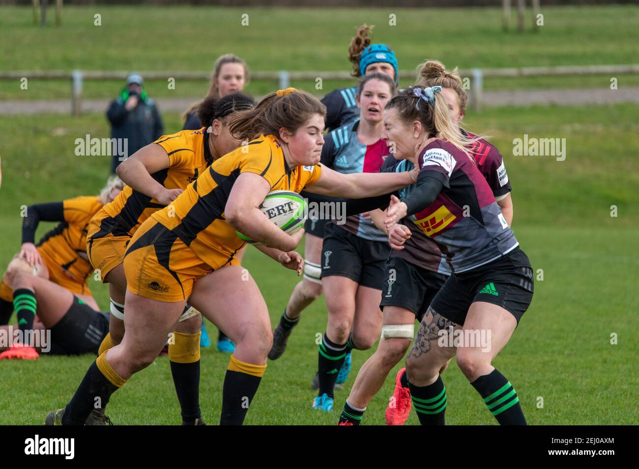 Maud muir hi-res stock photography and images - Alamy