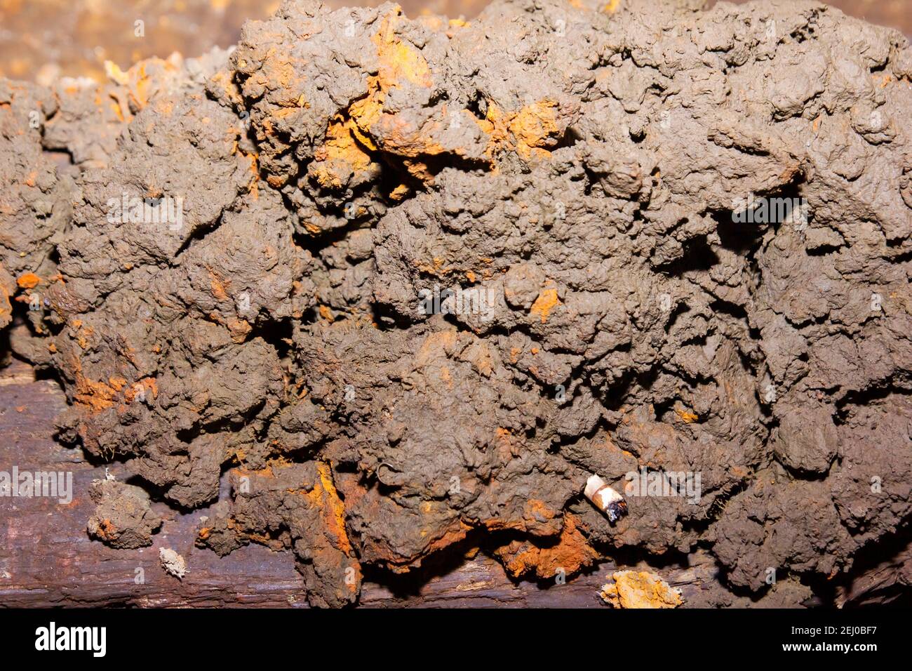 rusty background, hd rusty wallpaper, rusty metal background, rusty ...