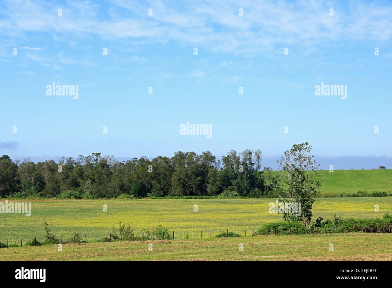 Agriculture farm landscape hi-res stock photography and images - Alamy
