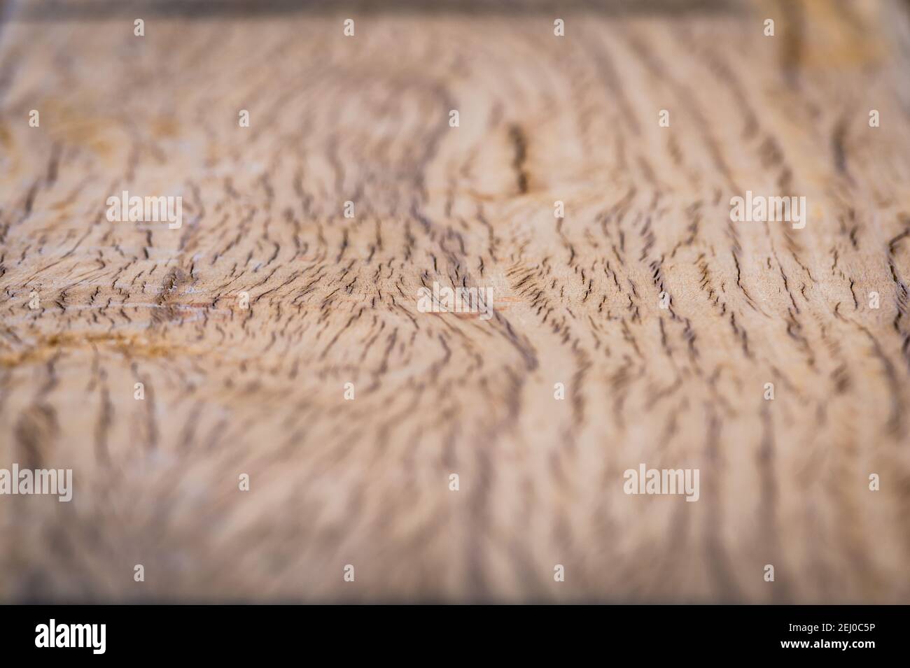 Timber grain patterns hi-res stock photography and images - Alamy