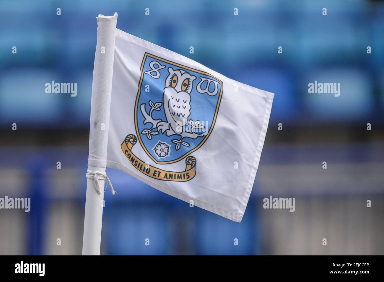Sheffield wednesday flag hi-res stock photography and images - Alamy