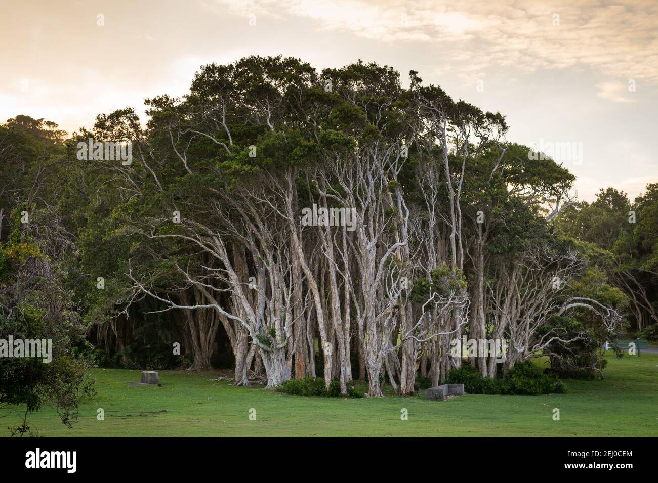 Arakoon australia hi-res stock photography and images - Alamy