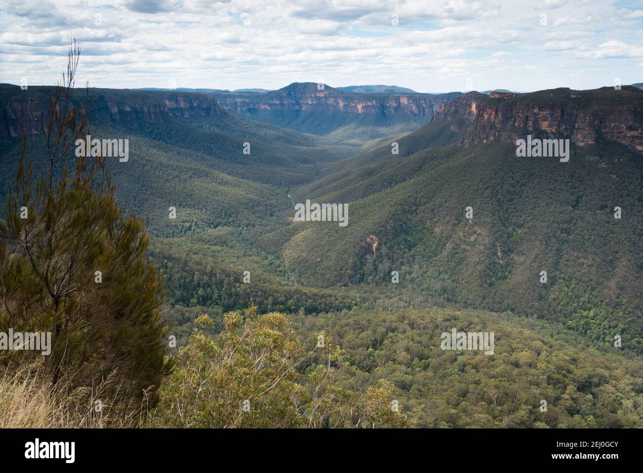 Edgeworth david head hi-res stock photography and images - Alamy