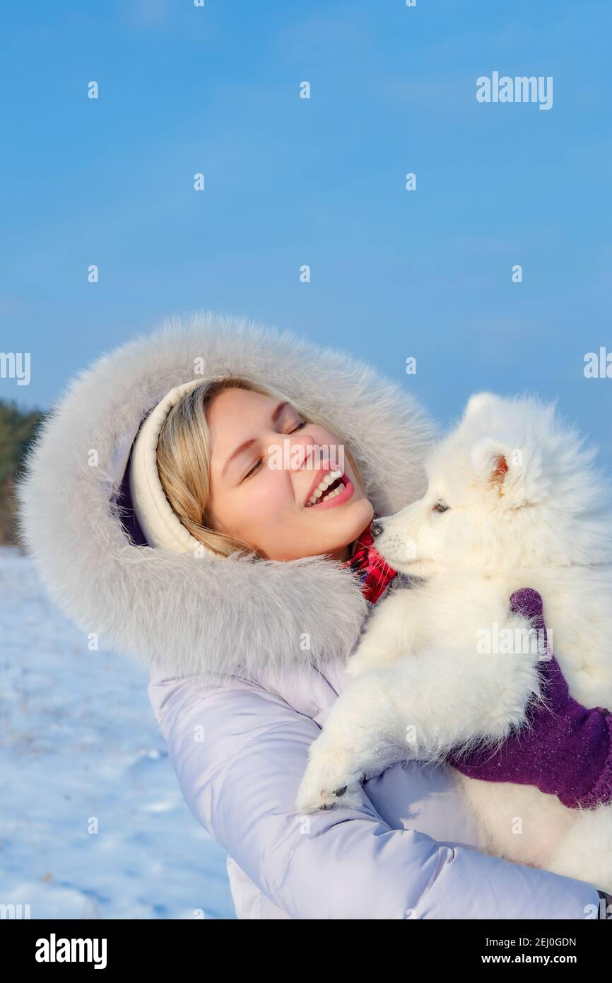 Laughing young woman and samoyed puppy kiss on winter frosty day Stock ...