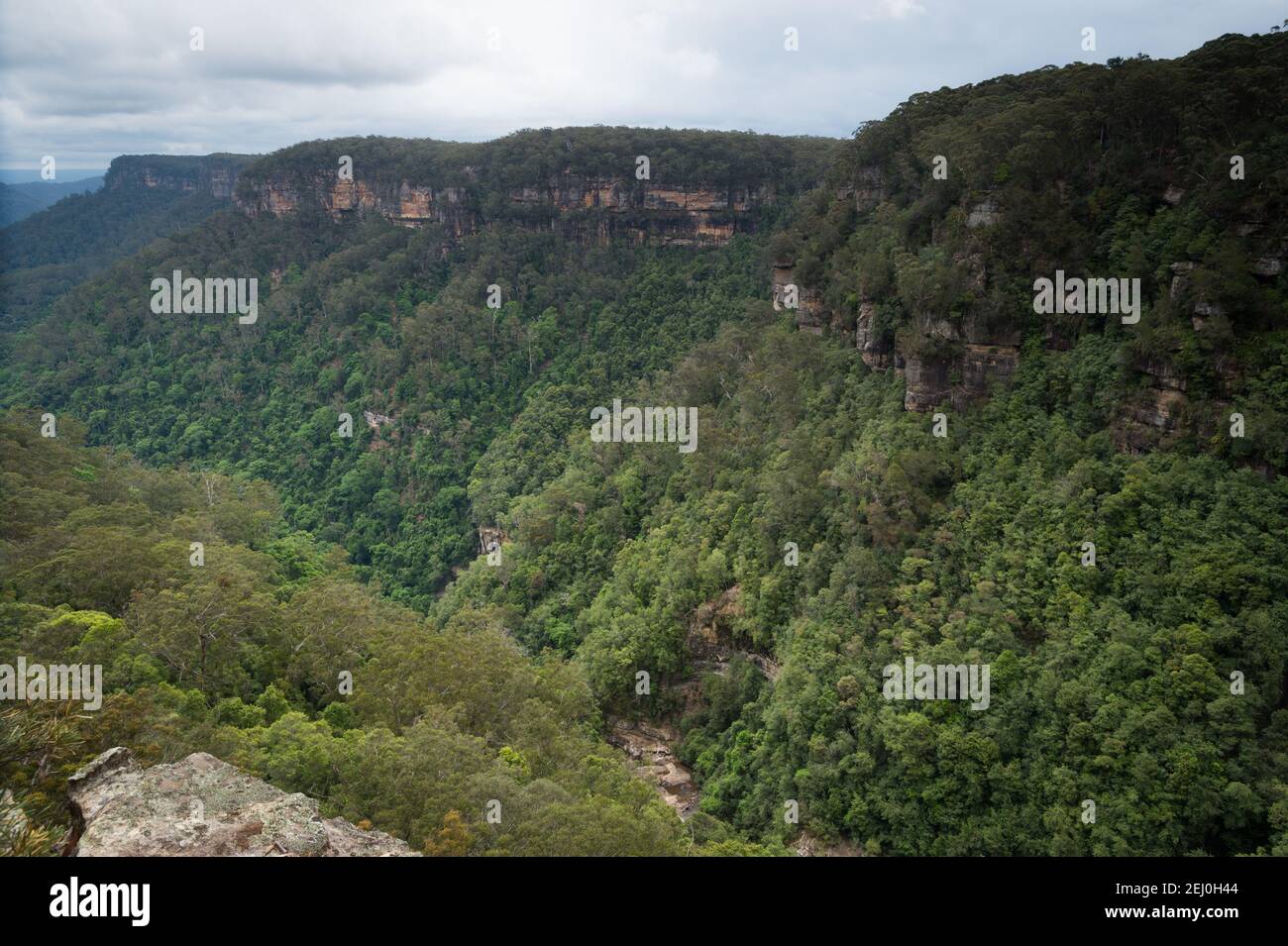 Yarrunga Valley, Morton National Park, New South Wales, Australia Stock ...