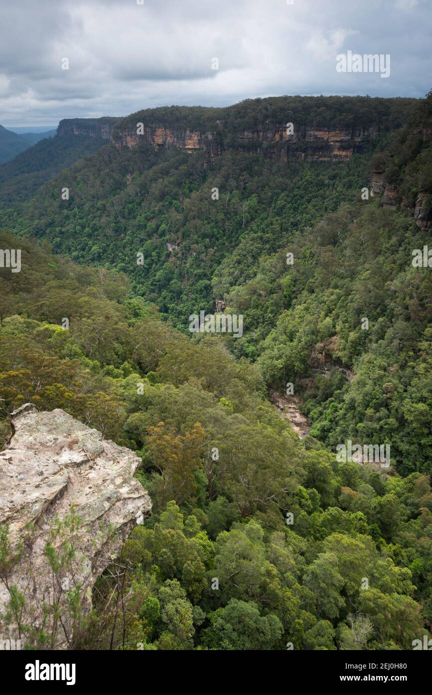 Yarrunga Valley, Morton National Park, New South Wales, Australia Stock ...