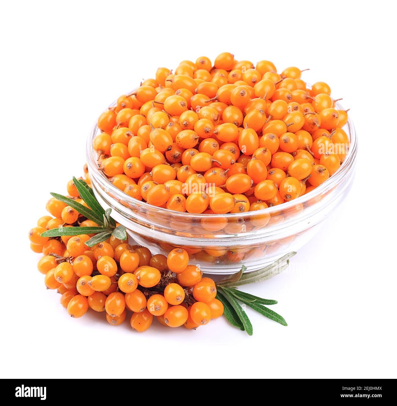 Autumn berries sea buck hi-res stock photography and images - Alamy