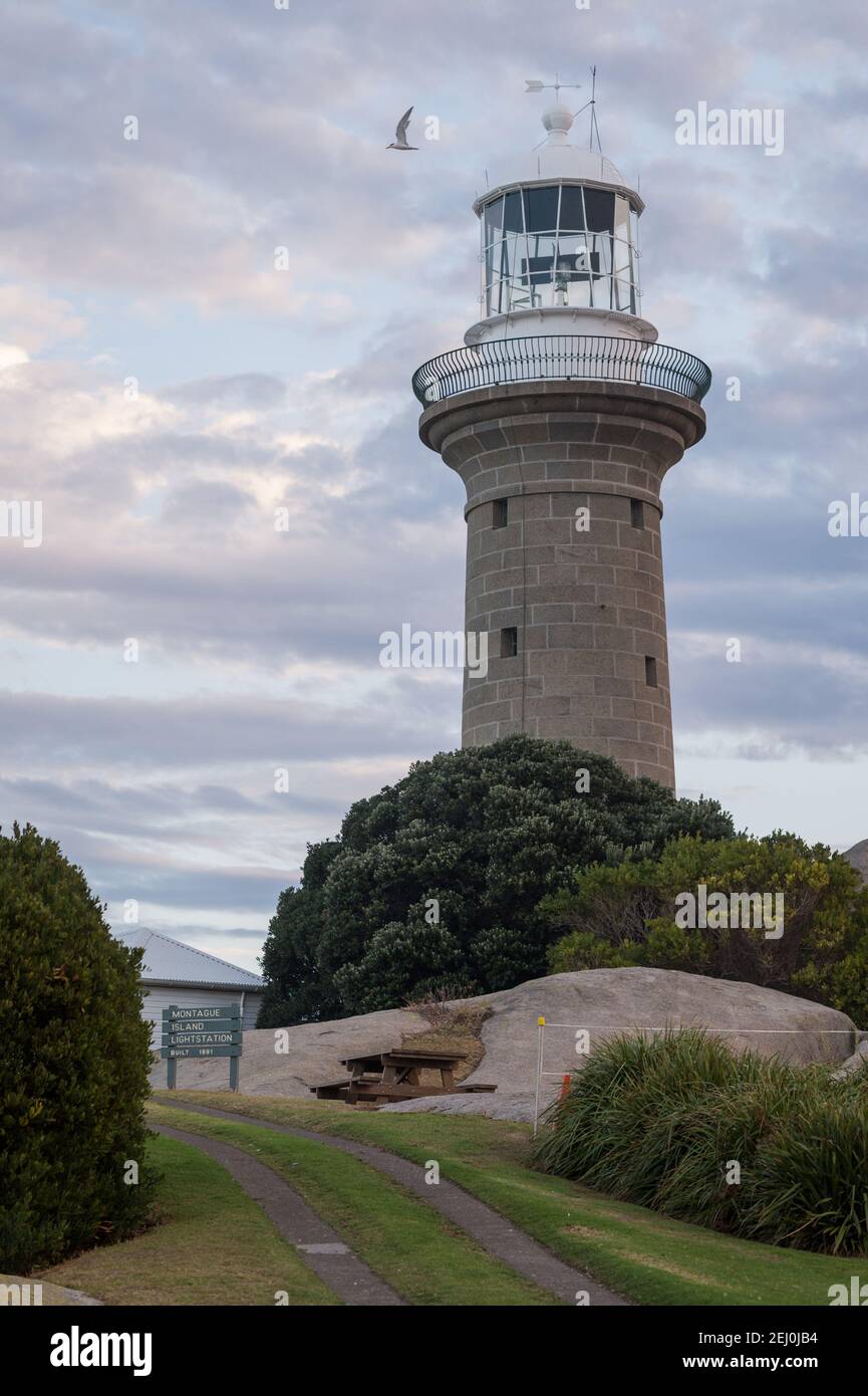 Montague island lighthouse hi-res stock photography and images - Alamy
