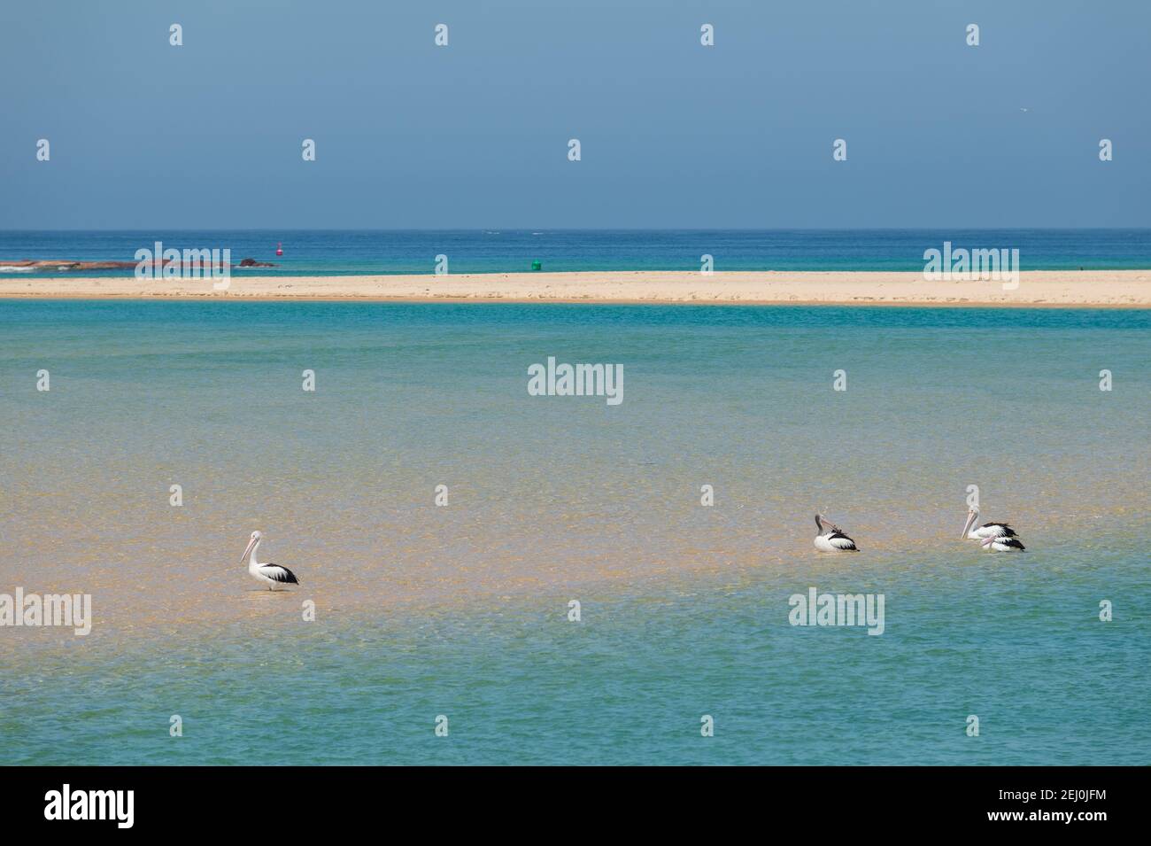 Merimbula beach hi-res stock photography and images - Alamy