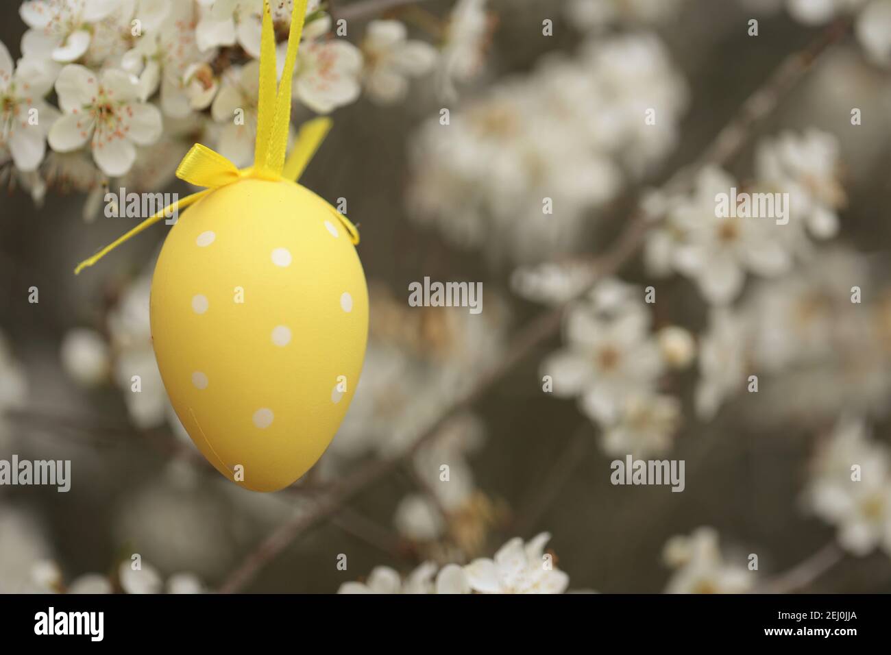 Easter .yellow easter egg on a flowering branch on a spring garden ...