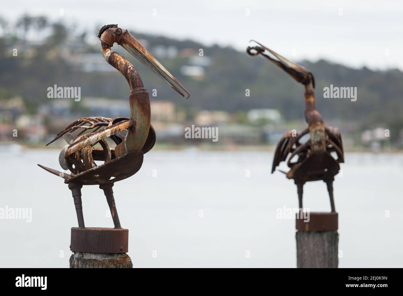 Pelican sculptures hi-res stock photography and images - Alamy