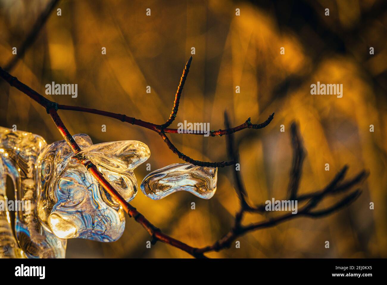 Icicles silhouette hi-res stock photography and images - Alamy
