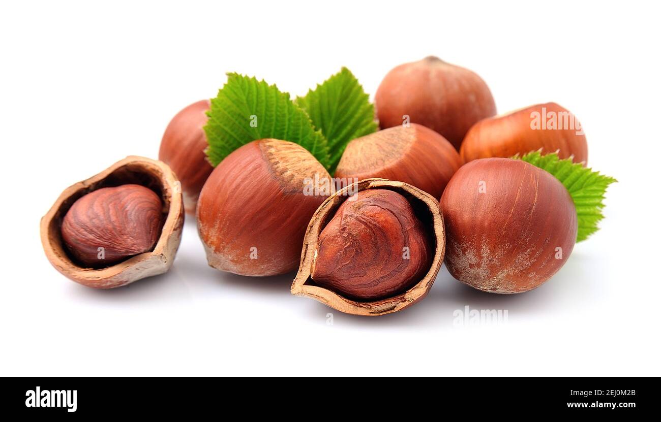 Filbert nuts with leaf on white background Stock Photo - Alamy