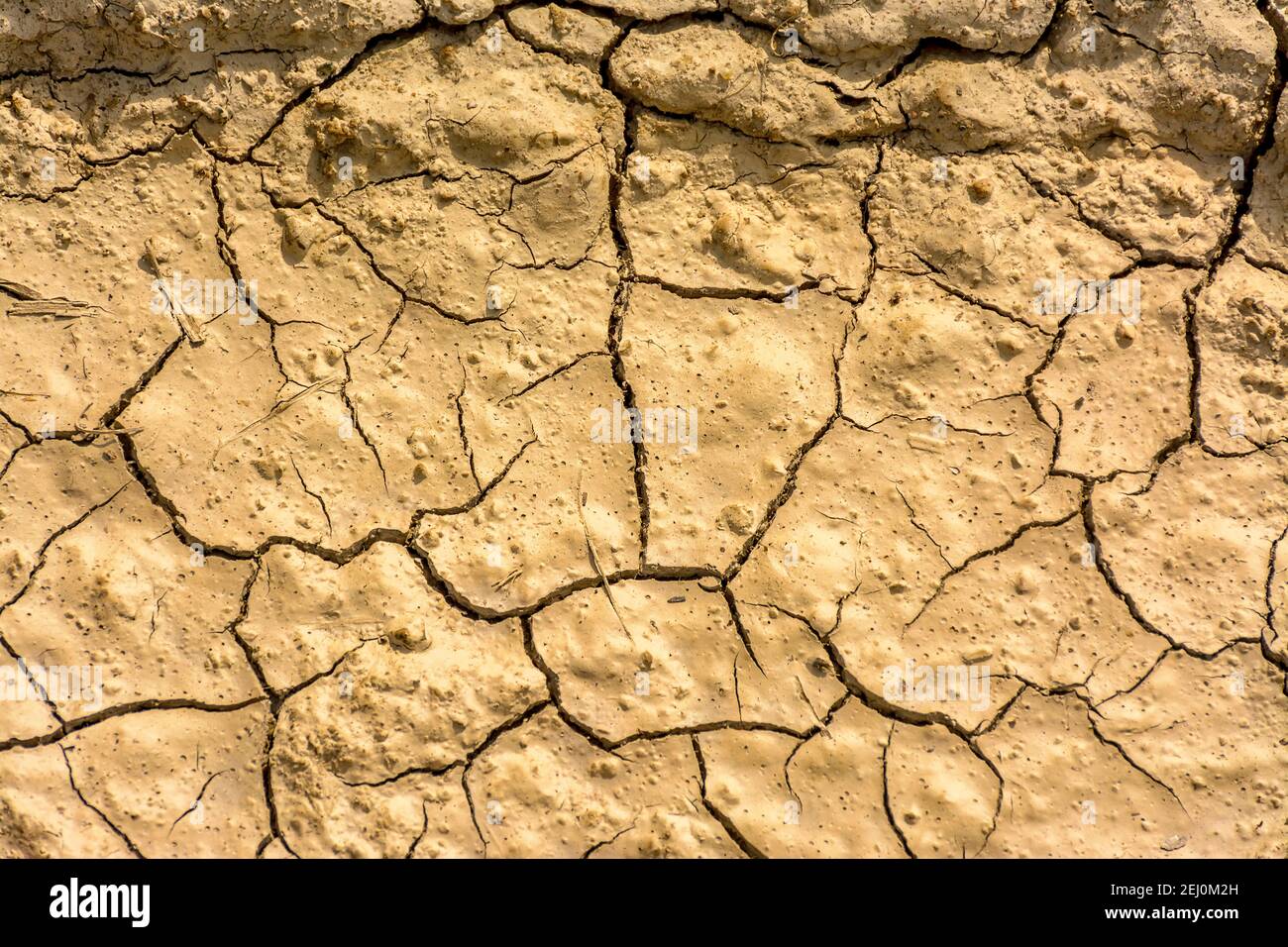 Background of heat cracked clay soil. Clay desert Stock Photo - Alamy