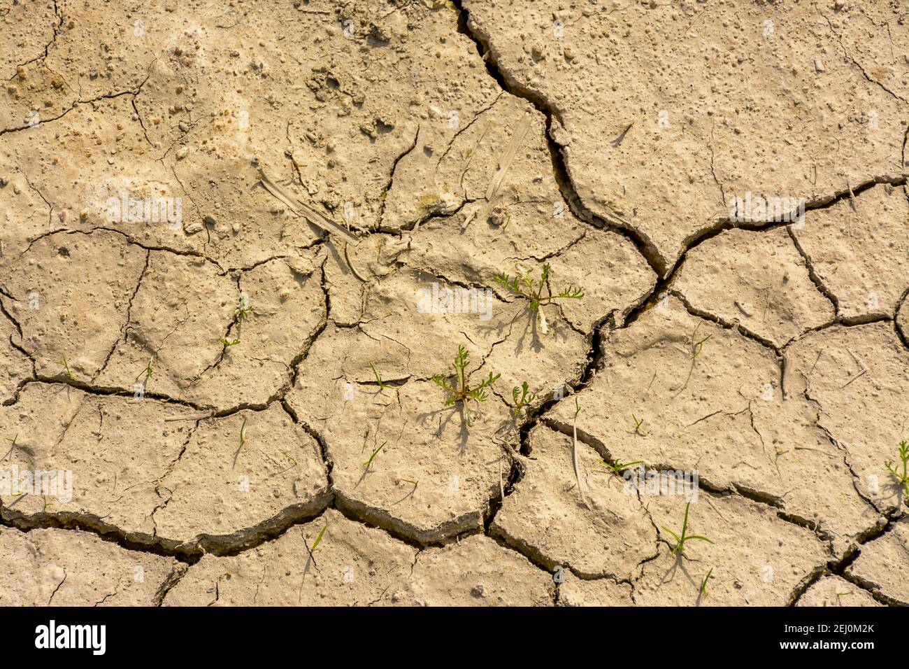 Background of heat cracked clay soil. Clay desert Stock Photo - Alamy