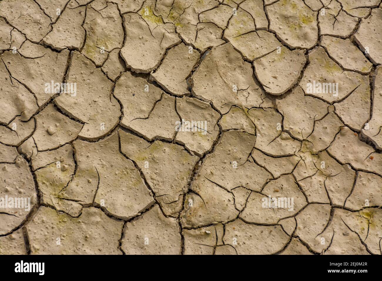 Background of heat cracked clay soil. Clay desert Stock Photo - Alamy