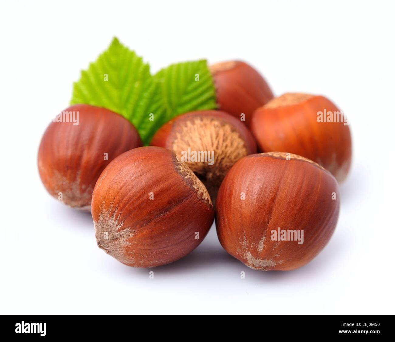 Filbert nuts with leaf on white background Stock Photo - Alamy