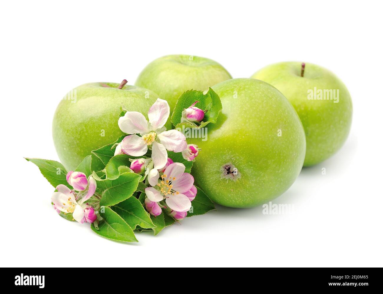 Apples twig tree close hi-res stock photography and images - Alamy