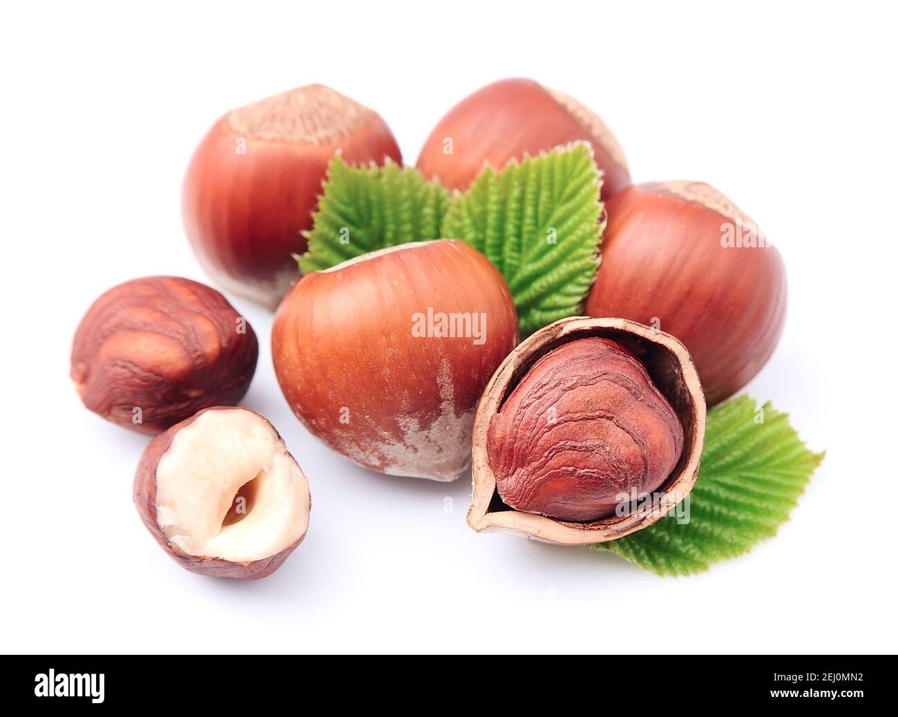 Filbert nuts with leaf on white background Stock Photo - Alamy