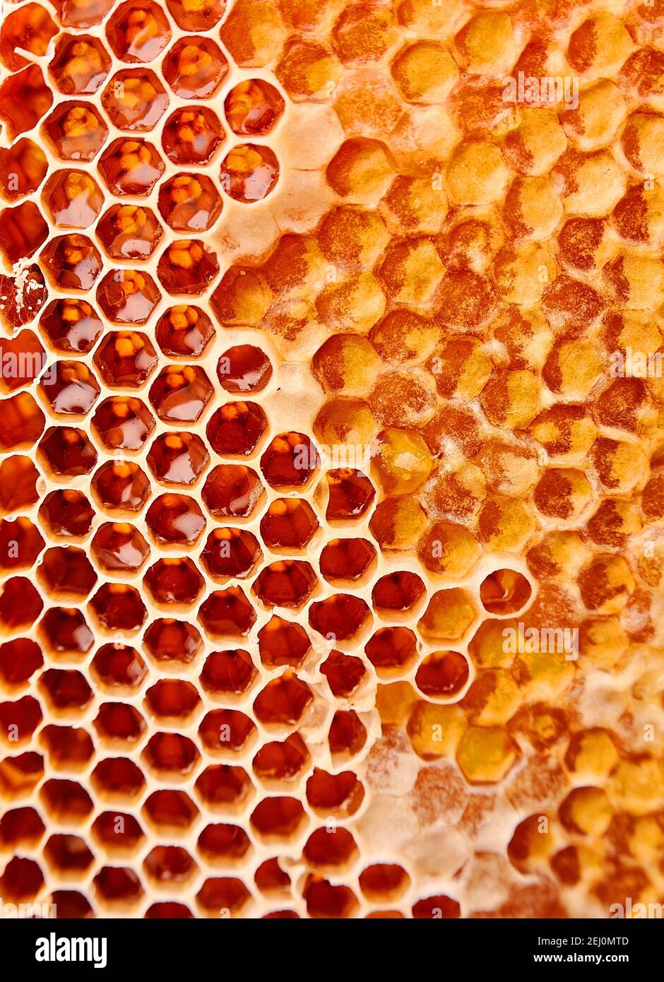 Honeycomb closeup hi-res stock photography and images - Alamy