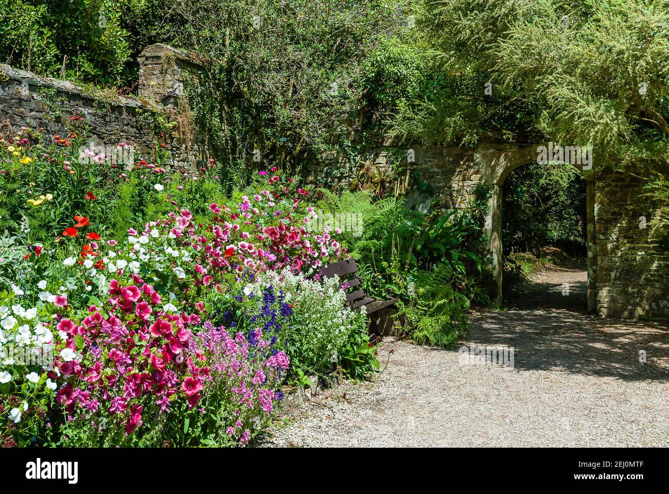 Cotehele House and Garden in Cornwall Stock Photo - Alamy