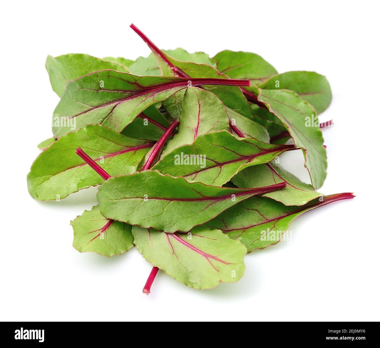 Mangold salad closeup on white background. Herbs. Leaves of beet Stock ...