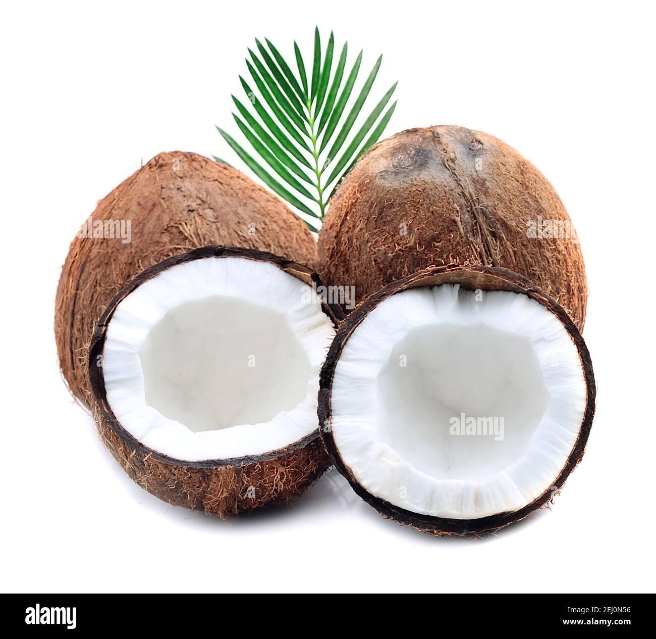Cocos shell Cut Out Stock Images & Pictures - Alamy
