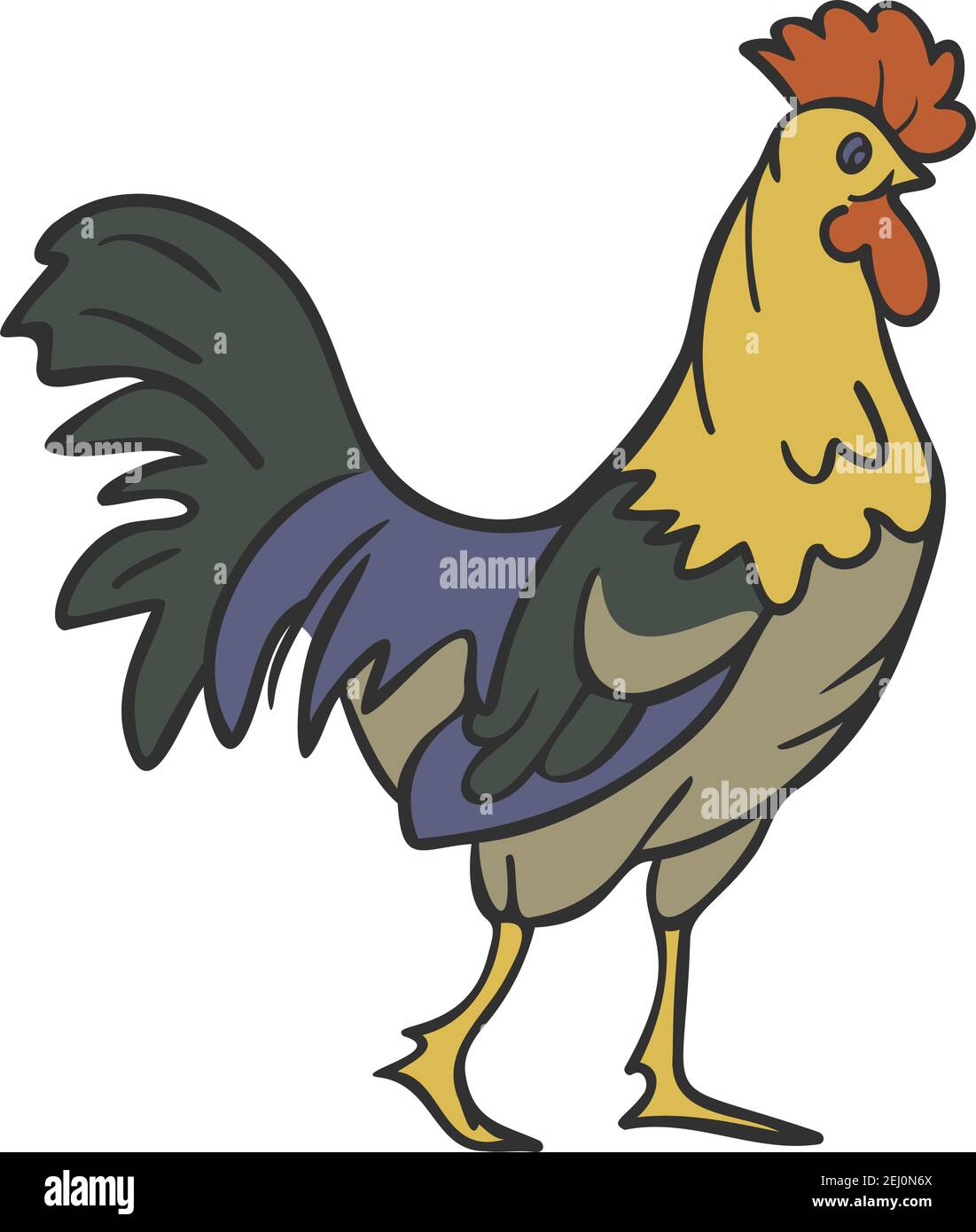 Vector illustration of farm rooster isolated on a white background ...
