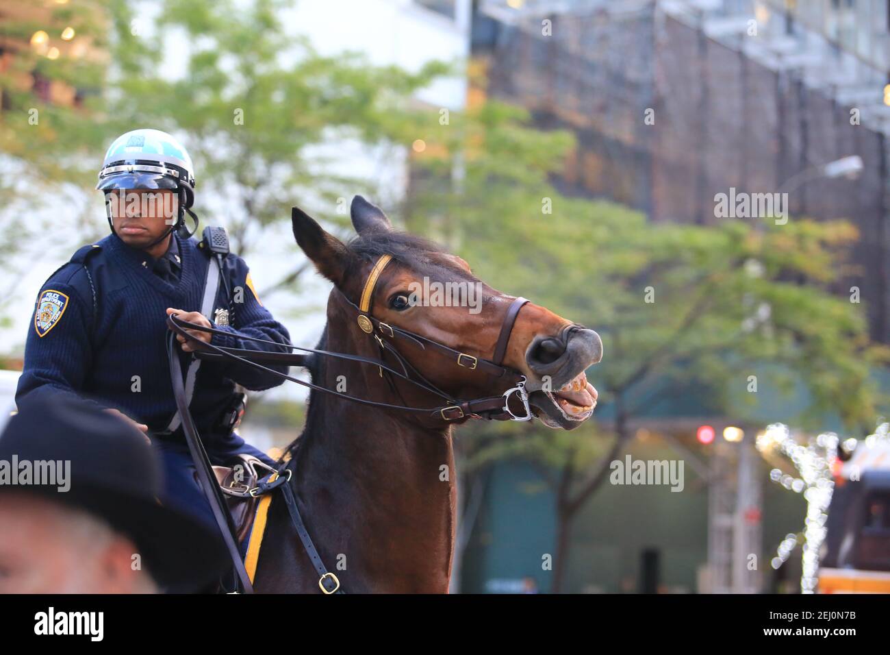 nypd horse unit patrol in New York Stock Photo - Alamy
