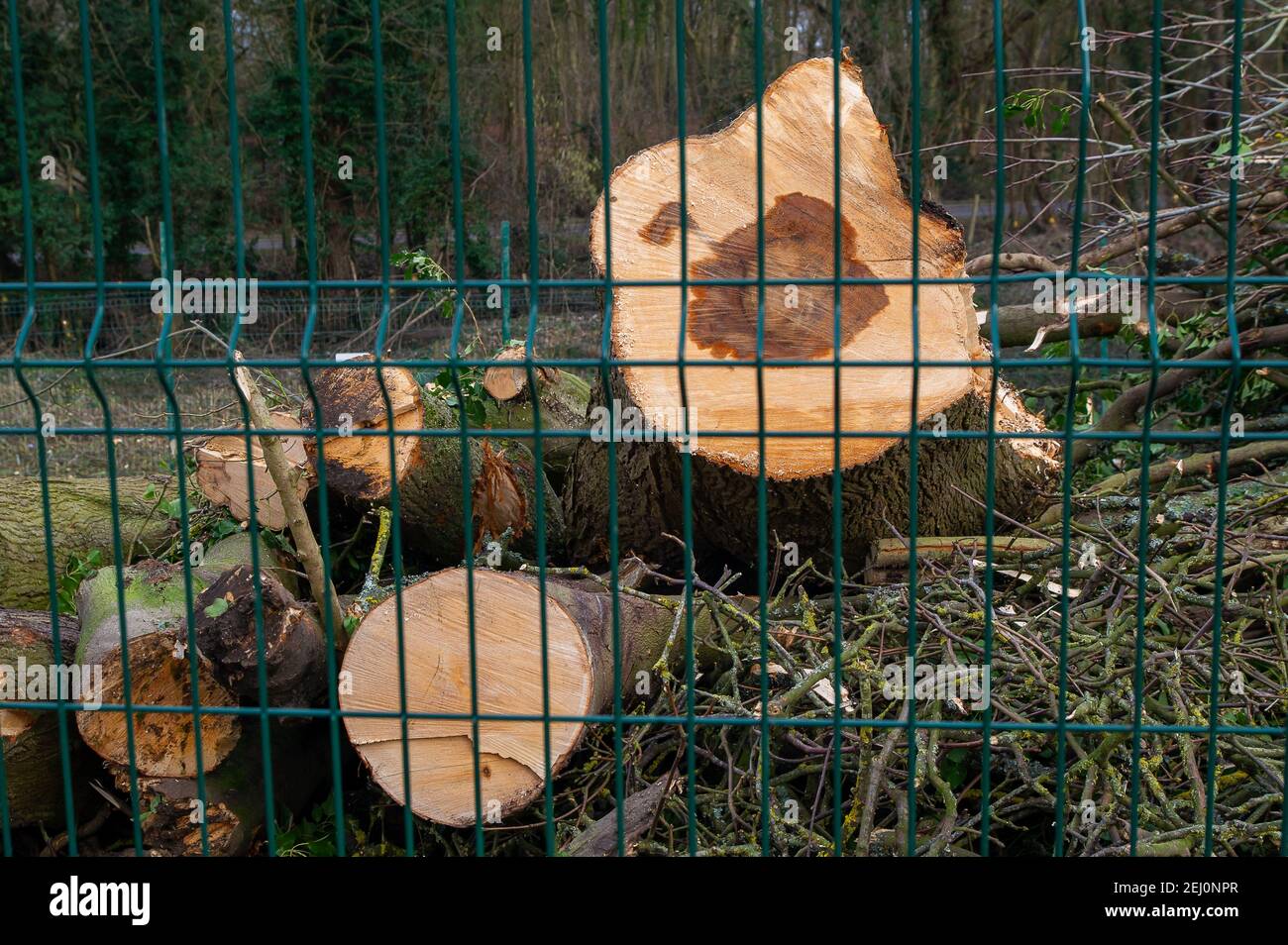 Hs2 guard dogs hi-res stock photography and images - Alamy