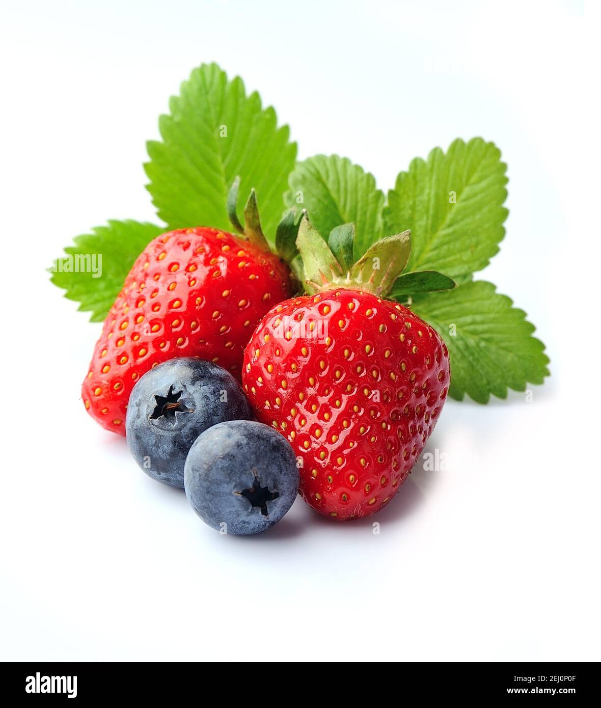 Sweet strawberry and blackberry isolated on white backgrounds Stock ...