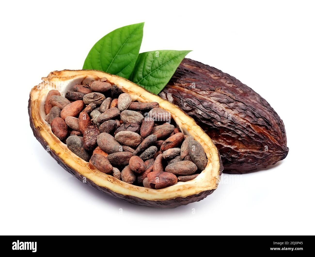 Cacao pod isolated on white backgrounds Stock Photo - Alamy