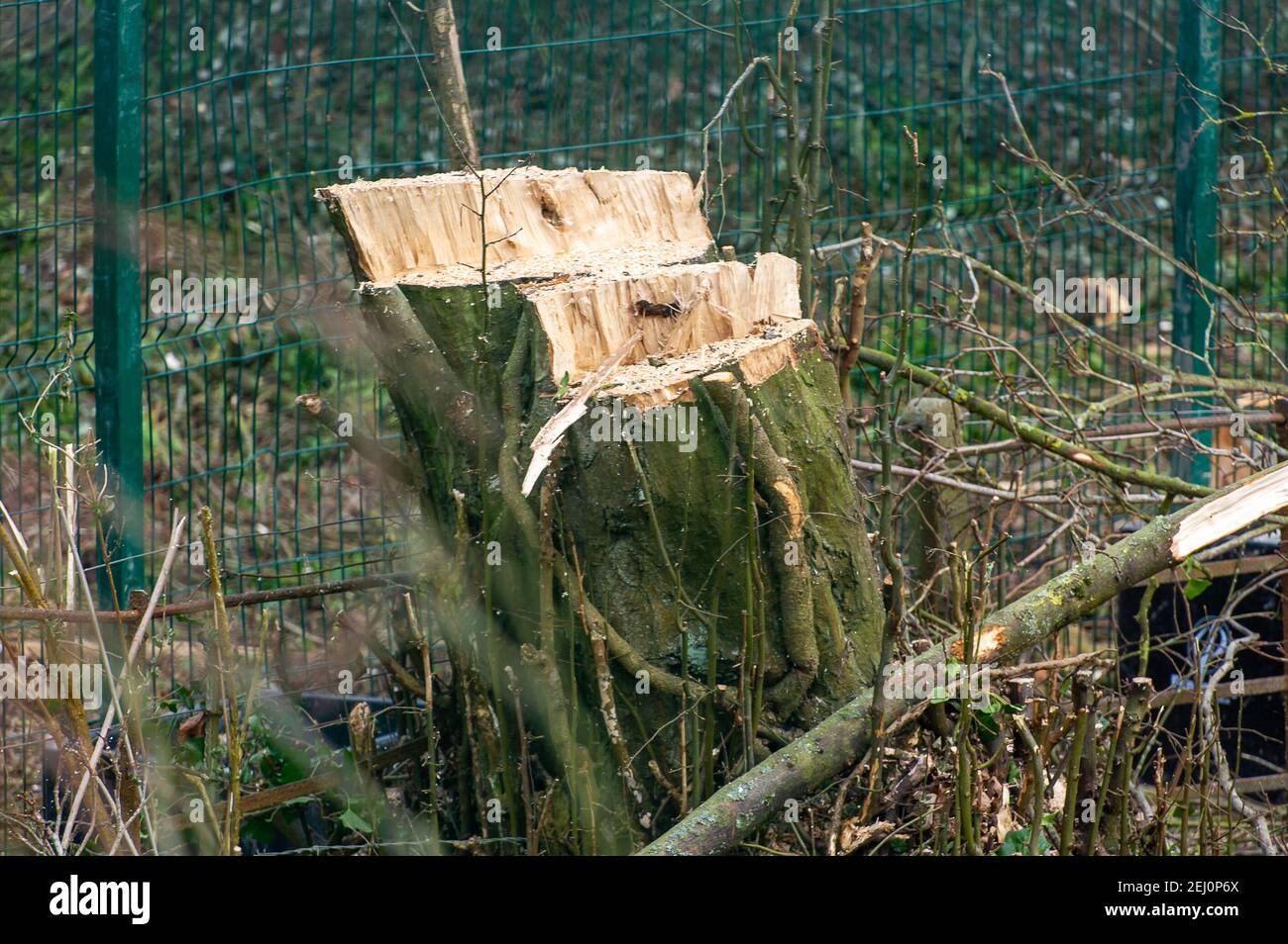 Hs2 guard dogs hi-res stock photography and images - Alamy
