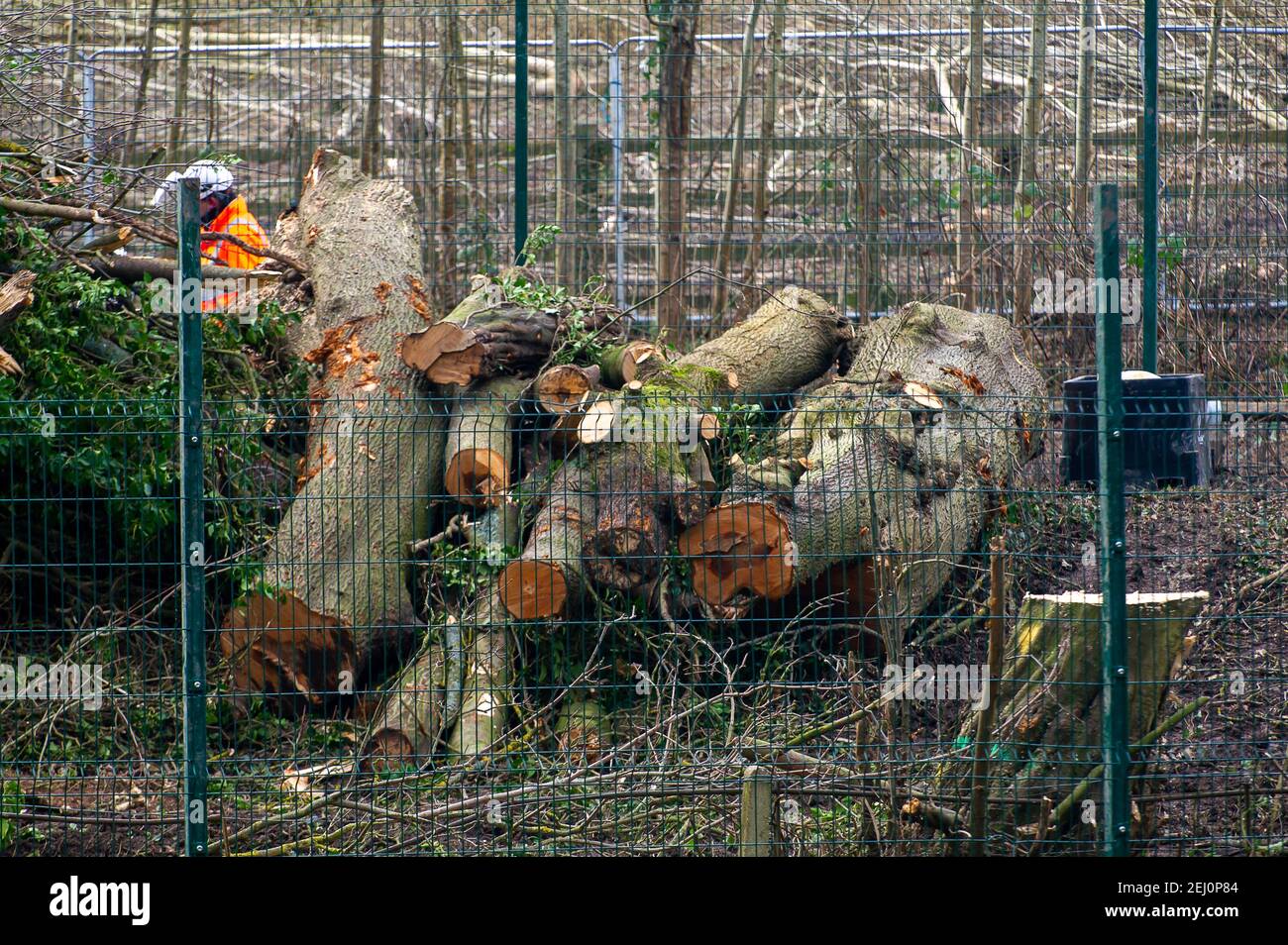 Hs2 guard dogs hi-res stock photography and images - Alamy