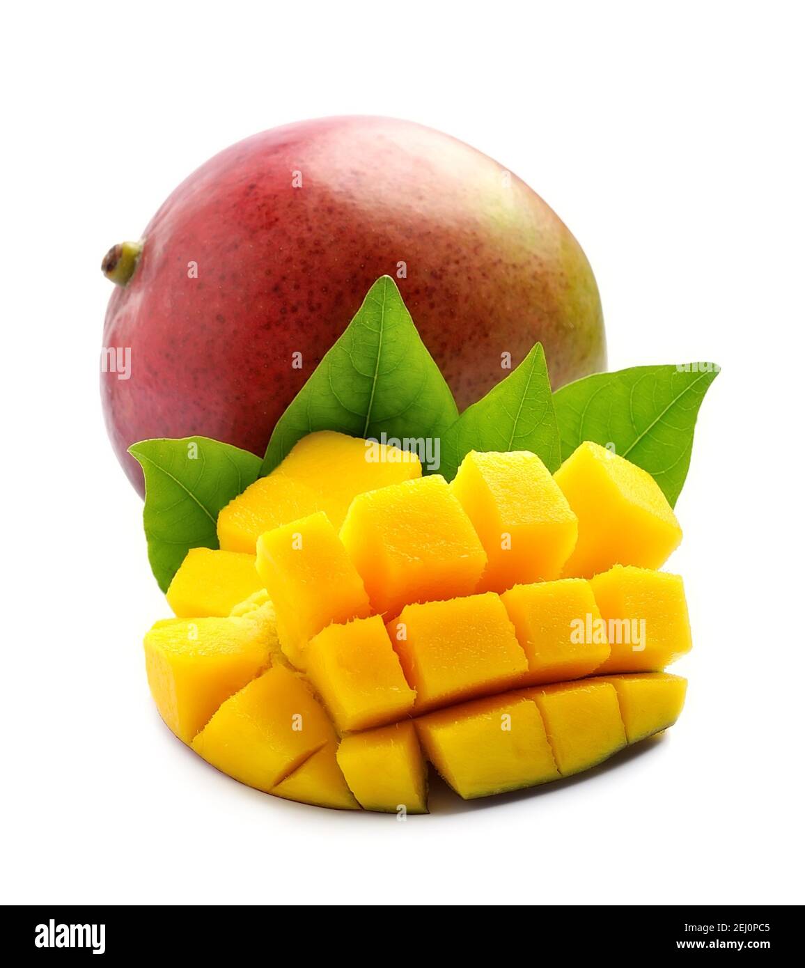 Mango fetus fruits on a white background Stock Photo - Alamy
