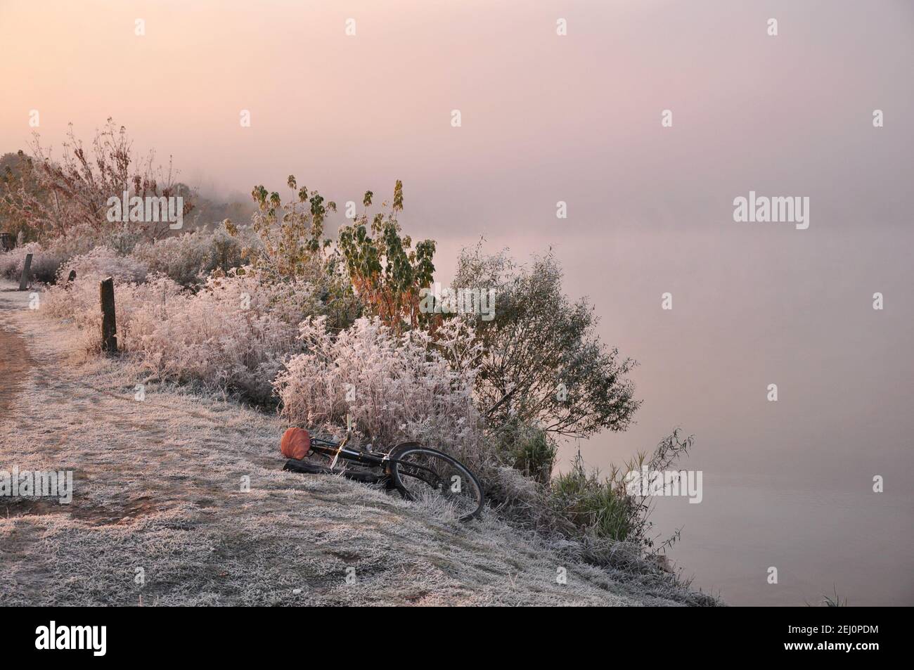 Left pedal hi-res stock photography and images - Alamy