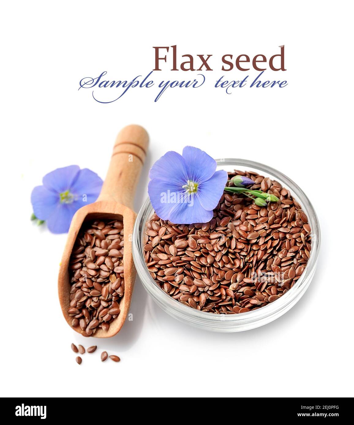 Flax seed and flax flowers closeup on white backgrounds Stock Photo - Alamy
