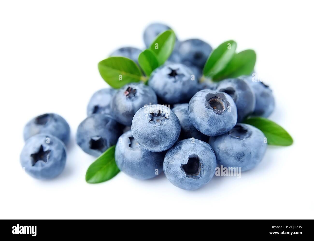 Blueberries with leaves isolated on white backgrounds Stock Photo - Alamy