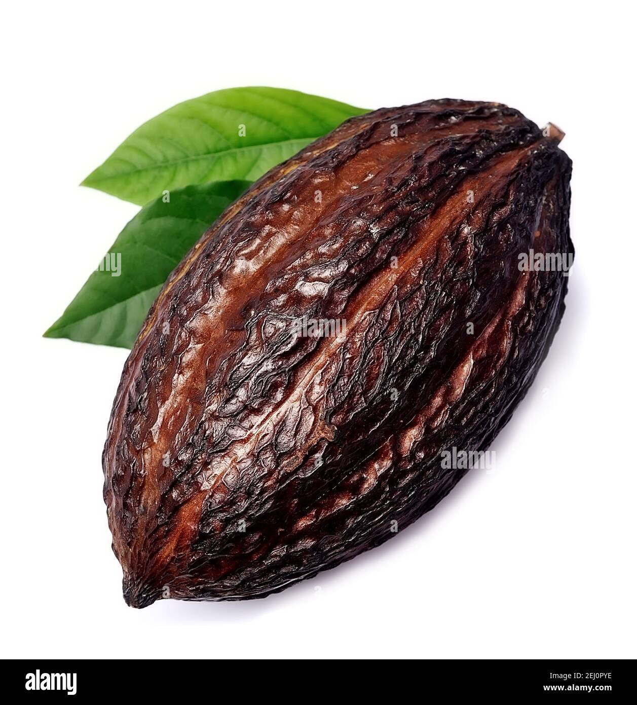 Cacao pod isolated on white backgrounds Stock Photo - Alamy