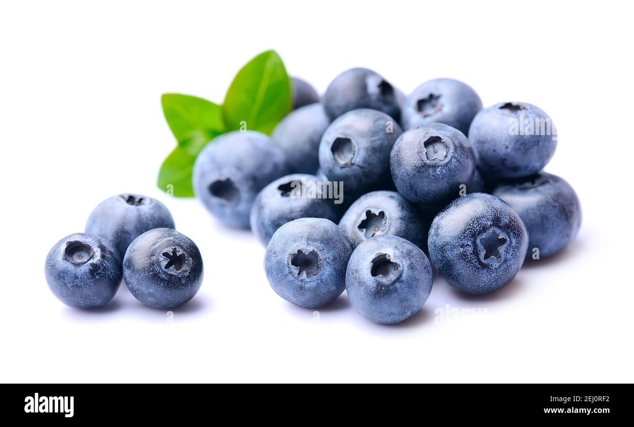Blueberries fruits macro isolated on white backgrounds Stock Photo - Alamy