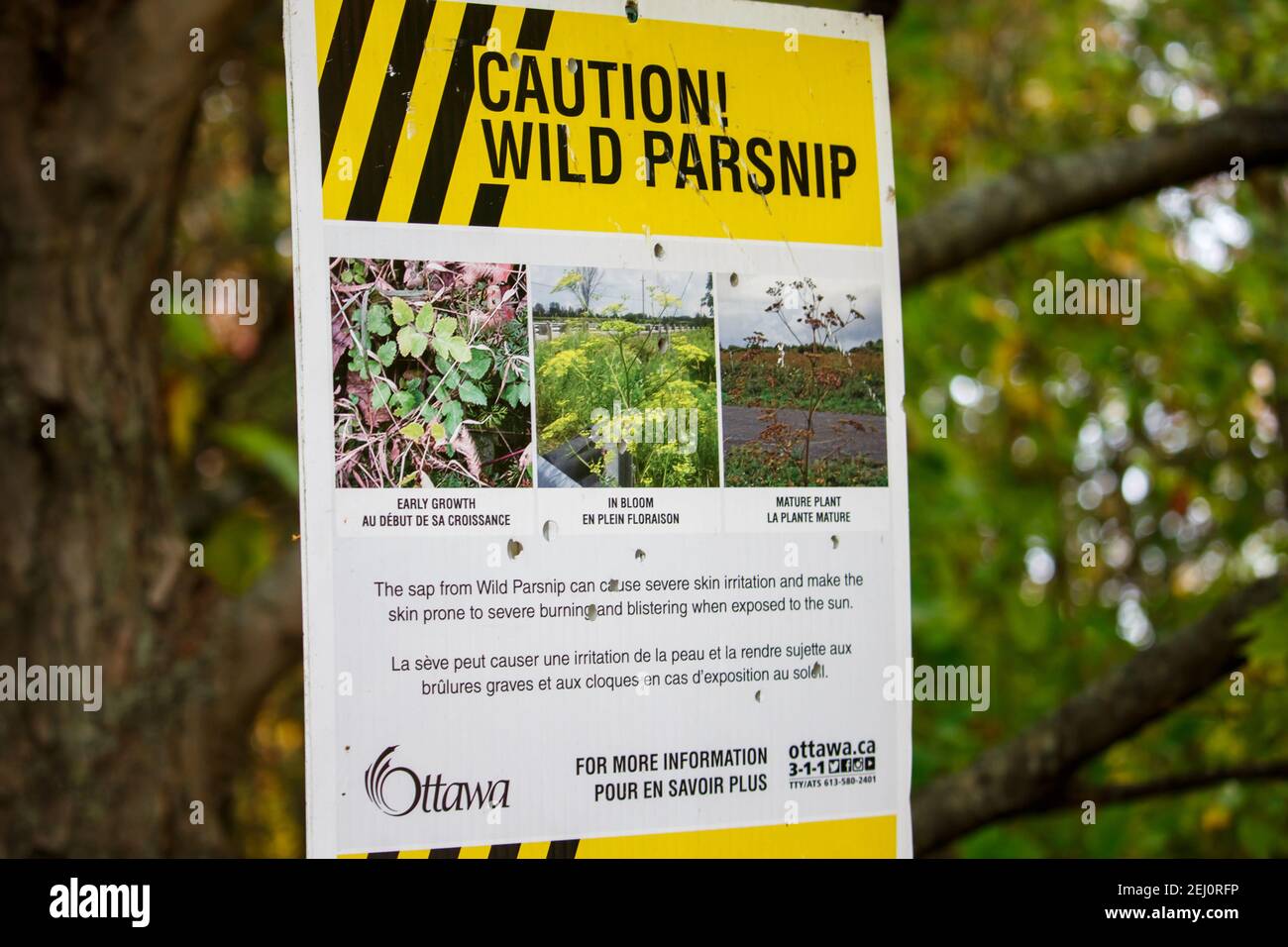 Ottawa, Ontario, Canada - October 7, 2019: A bilingual City of Ottawa ...