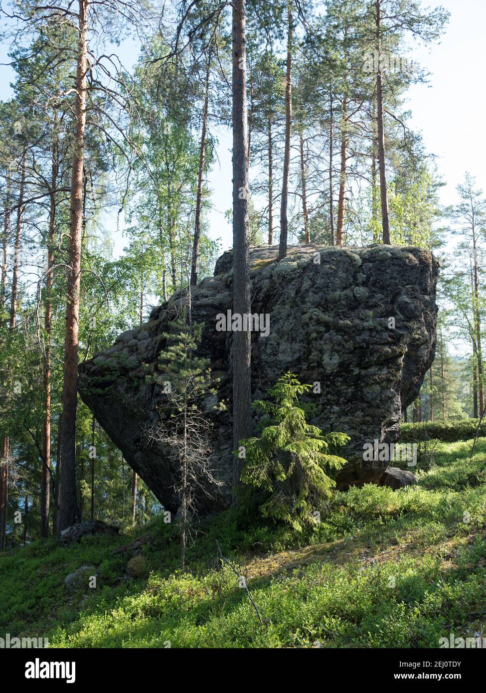 Big stone forest hi-res stock photography and images - Alamy