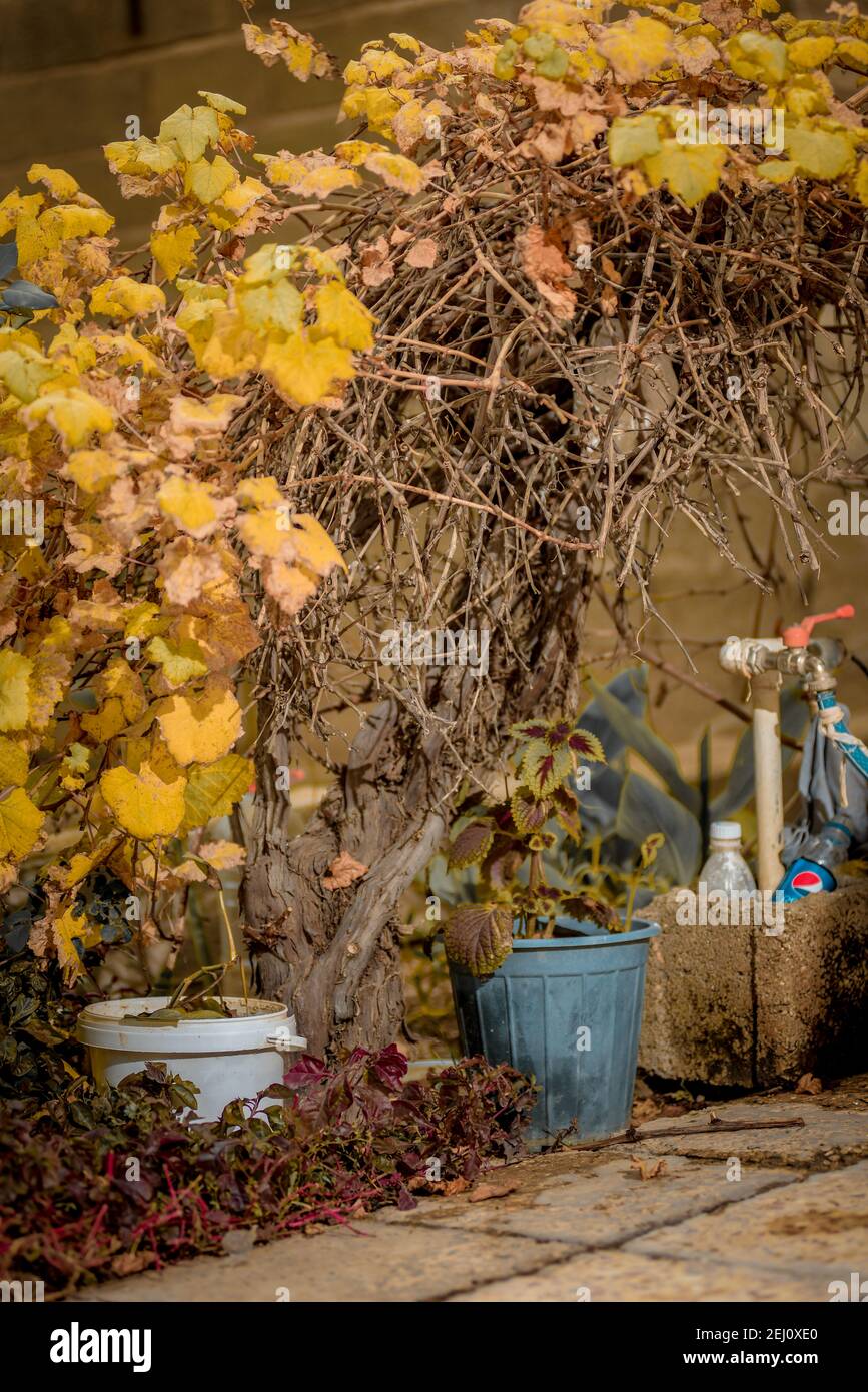 Nice background hi-res stock photography and images - Alamy