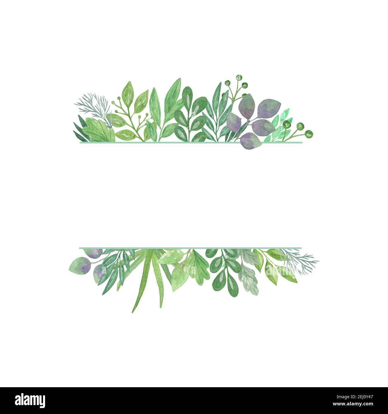 Hand drawn watercolor floral illustration, fancy green leaves ...
