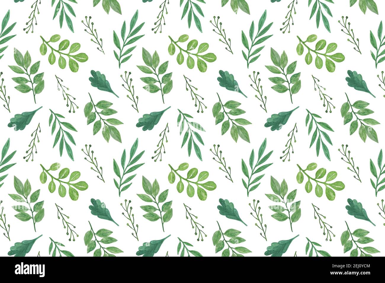 Repeat pattern of watercolor fancy leaves on the white background, hand ...