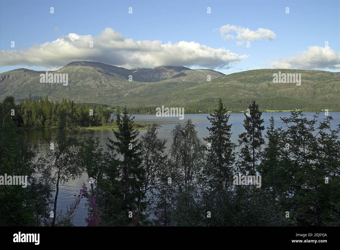 Norway, Norwegen; Lakes and hills surrounded by greenery - a typical ...